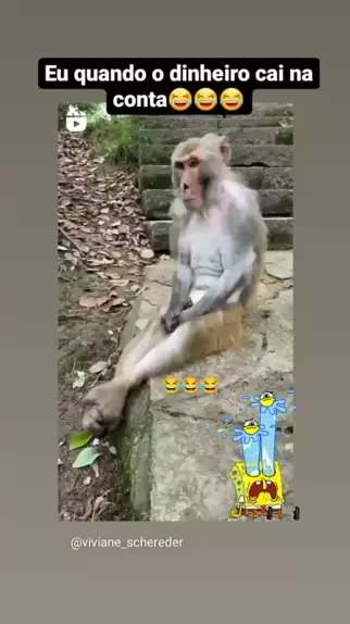 contando dinheiro meme & memes de quando o dinheir ...| Kwai