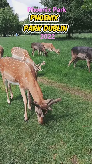 @taniabann | Discover