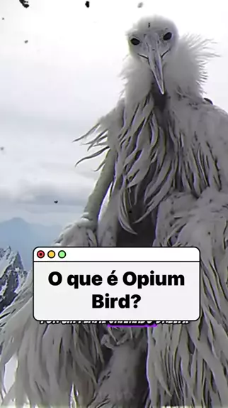 o que é opium bird | Discover