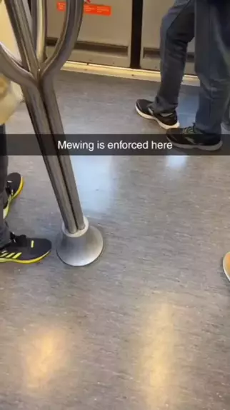 el perro mewing & mewing cry meme| Discover