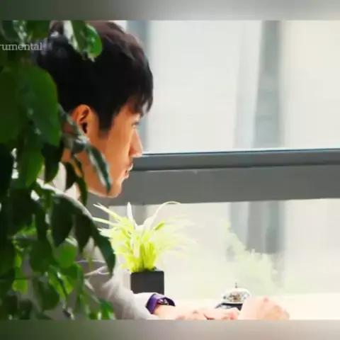 chongmo mohan & wang chongmo li mohan| Discover