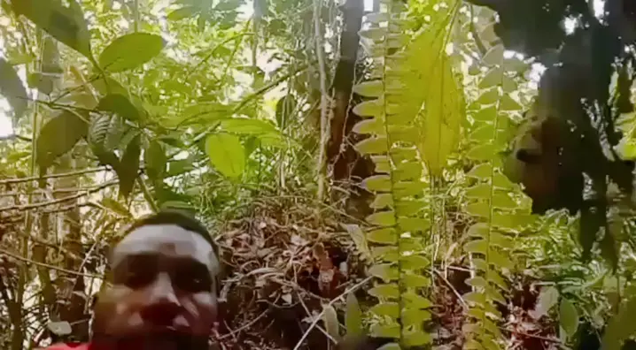 mau ngapain thu #padi #sawah #Poringface #emot