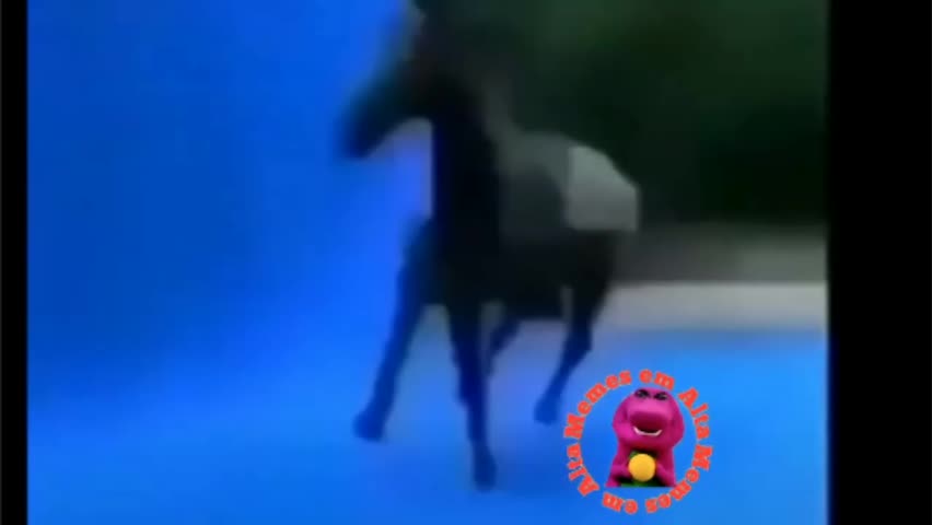carlinhos cavalos meme | Discover