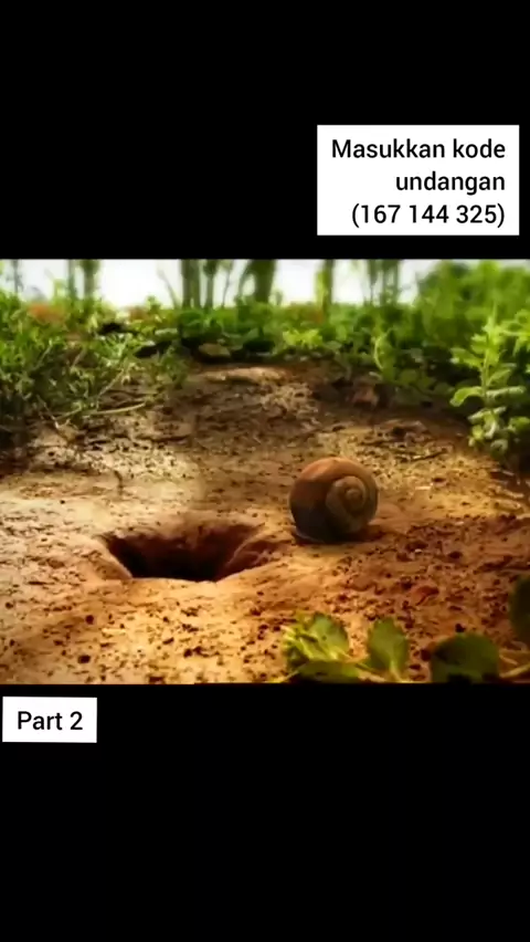 minuscule ulat | Discover