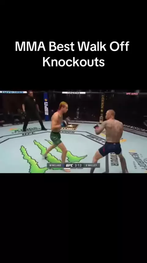 Brazilian Fight 🇧🇷 (@brazilianfight) on Kwai